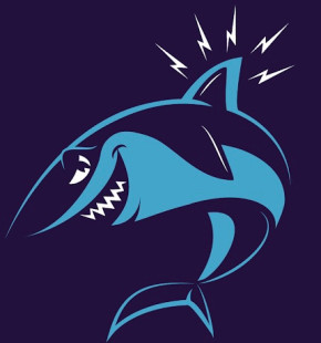 SPARK SHARK LLC - Project Photos & Reviews - Pewaukee, WI US | Houzz