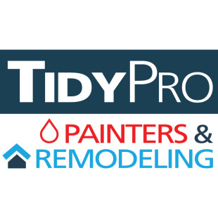 TIDY PRO PAINTERS - Project Photos & Reviews - Sugar Land, TX US | Houzz