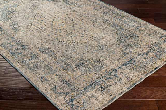 Aspendos APS-2300 Area Rug, 10'x14' - Traditional - Area Rugs - by ...