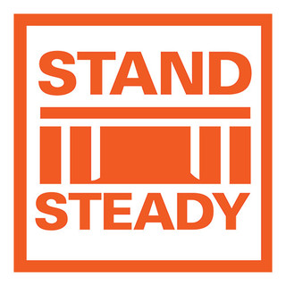 STAND STEADY - Project Photos & Reviews - Fairfax, VA US | Houzz