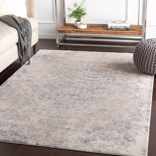 Canon Updated Vintage Bohemian Area Rug - Contemporary - Area Rugs - by ...