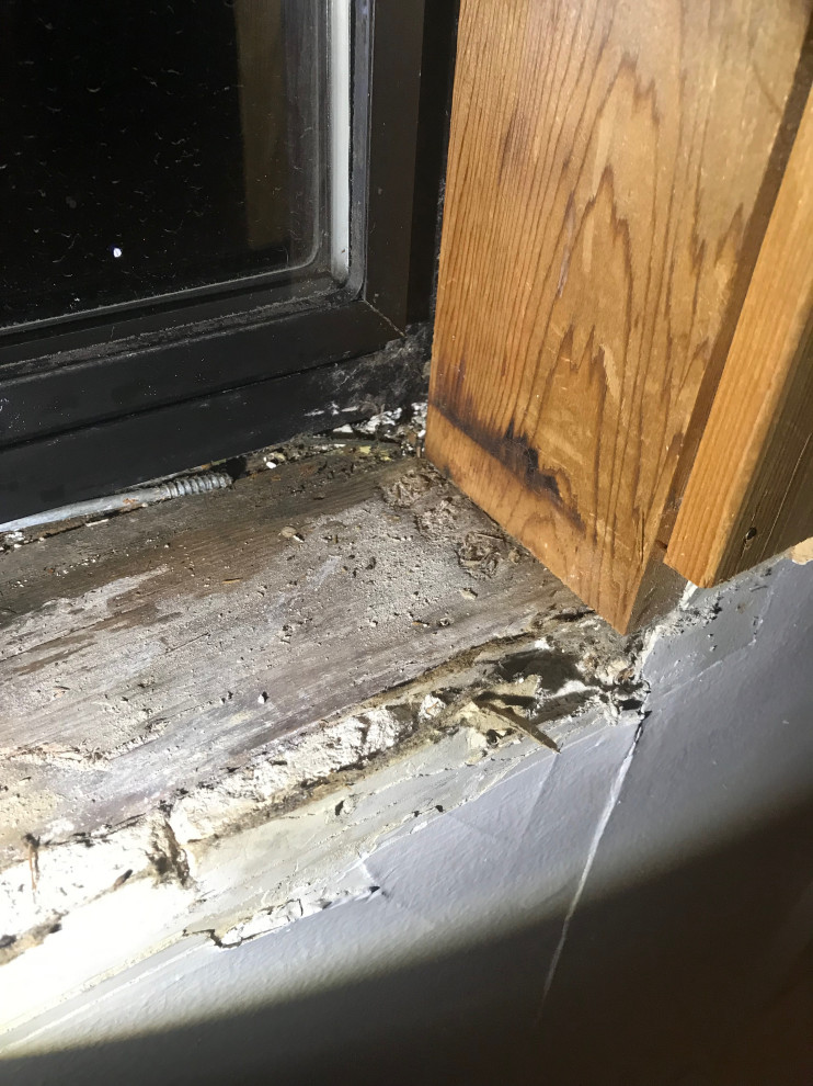 Possible window leak causing cracked drywall
