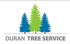 DURAN TREE - Project Photos & Reviews - Beaverton, OR US | Houzz
