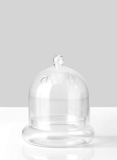 Serene Spaces Living Glass Cloche, Single - Contemporary - Terrariums ...