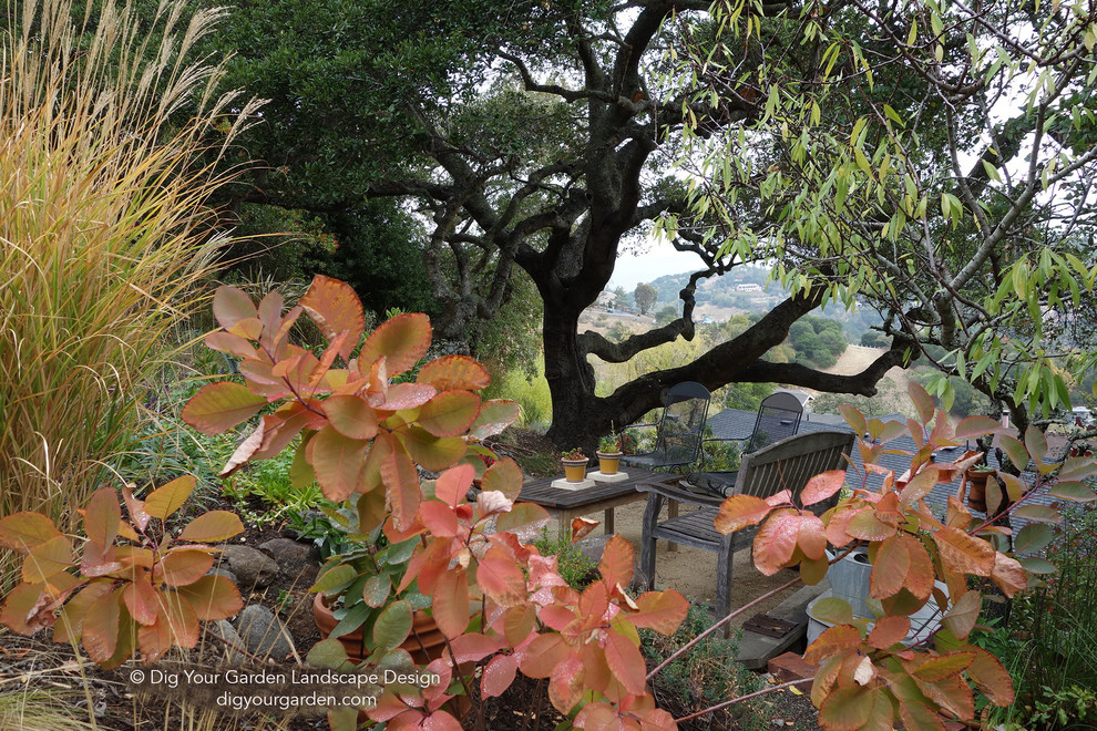 7 Inspiring Western Landscapes With Fall Color for Dry Climates