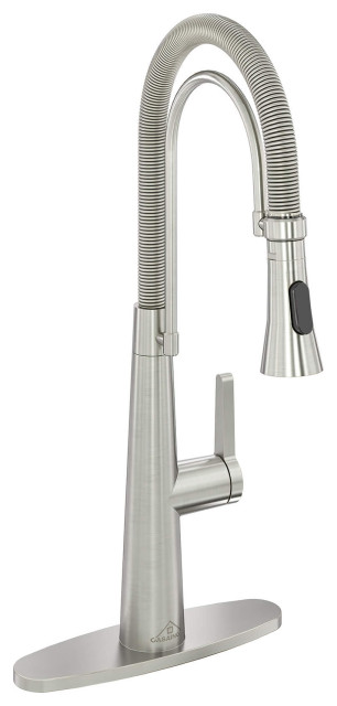 Single-Handle Spring Neck Standard Kitchen Faucet with Dual-Function ...