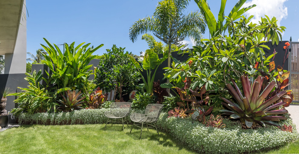 Pool Area Front Courtyard - Tropical - Garden - Sunshine Coast - by ...
