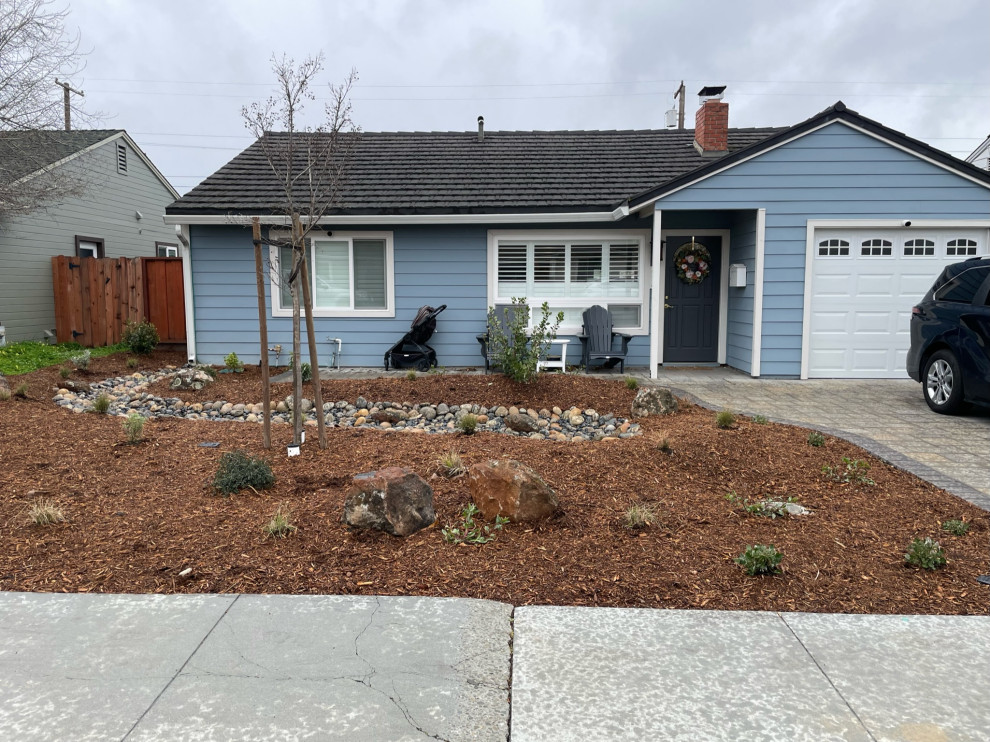 California Native Plants- Front and Back Yard Design - Craftsman ...