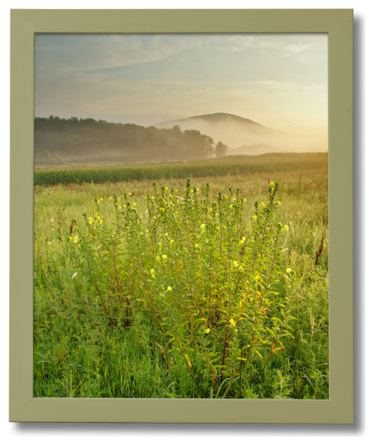 Bold Legacy .75" Frame, 12"x16" - Transitional - Picture Frames - by ...