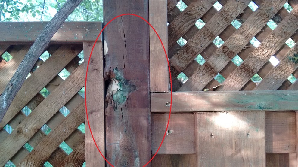 Newly built fence - is this a damaged post