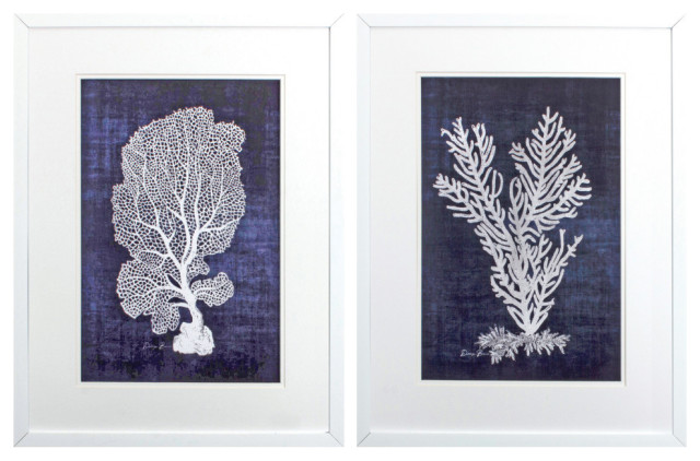Sea Fan Wall Art, 2-Piece Set - Beach Style - Prints And Posters - by ...