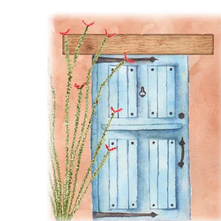 THE BLUE DOOR - Project Photos & Reviews - Fort Worth, TX US | Houzz