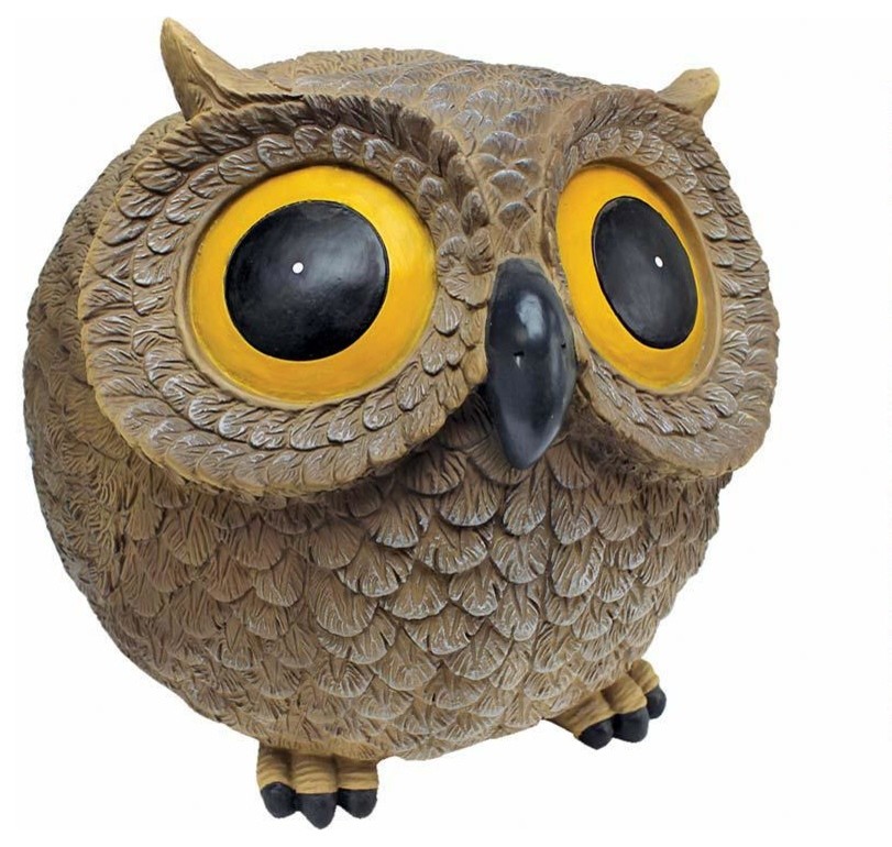 Wide Giant Eye Hilarious Garden Owl Statue - Contemporary - Garden ...