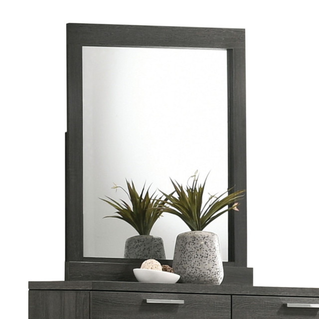 Lantha Mirror, Gray Oak - Transitional - Wall Mirrors - by Acme ...