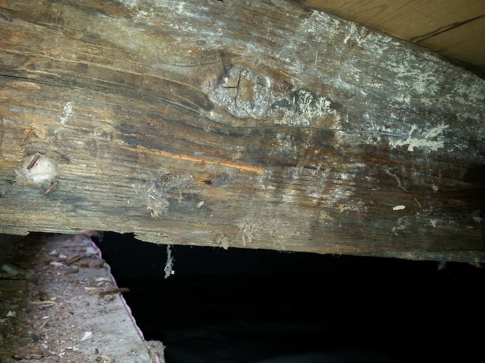 How To Repair Rotten Floor Joist Ends | Floor Roma