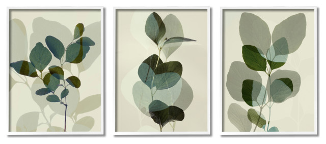 Modern Forest Plant Photography Overlapping Foliage Shadows, 16 x 20 ...