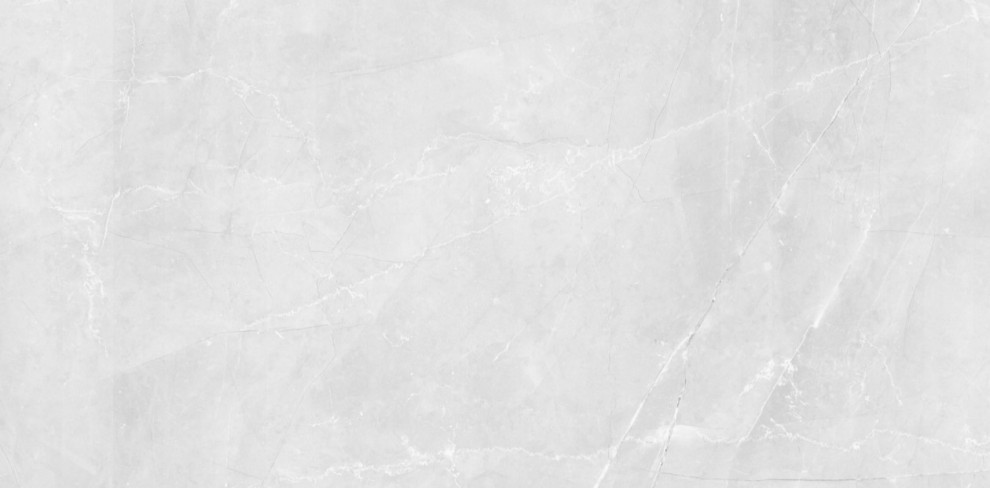 Tekali, Perla, 24x48 Sample - Traditional - Tile - by RPS DISTRIBUTORS ...