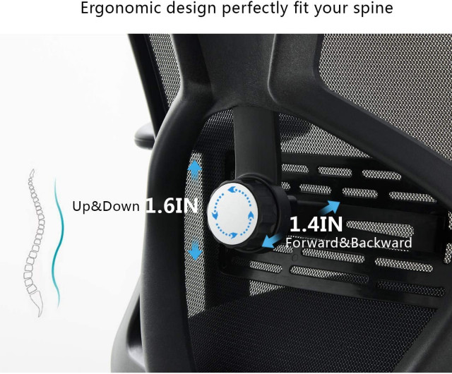 Ergonomic High Back Office Chair with Lumbar Support, 3D Armrests, and ...