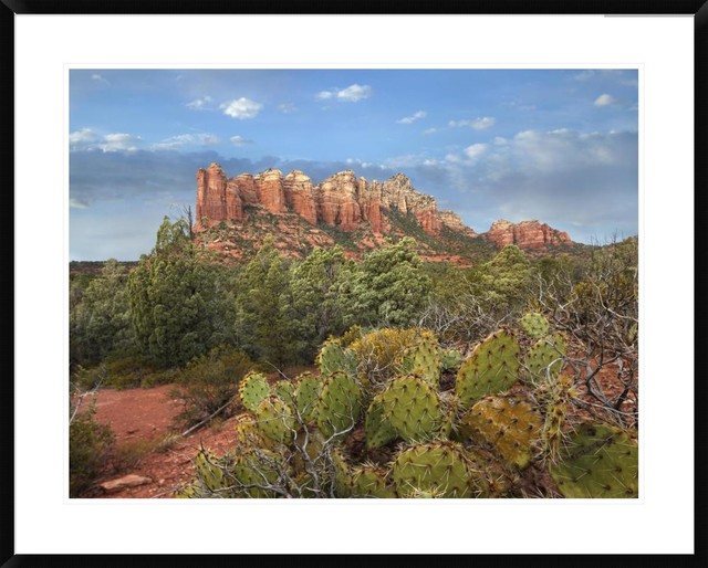 "Coffee Pot Rock near Sedona, Arizona" by Tim Fitzharris, 24x20", 38 ...