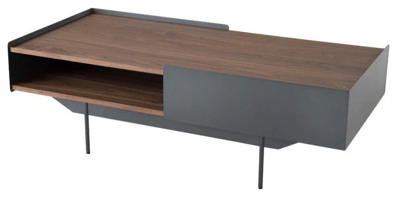 Francesca Walnut Coffee Table - Industrial - Coffee Tables - by Virgil ...