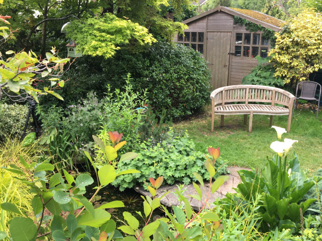 How to Transform a Small Garden into a Lush Wildlife Haven | Houzz UK