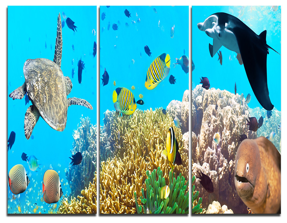 "Underwater Panorama With Sea Creatures" Photo Wall Art, 3 Panels, 36 ...