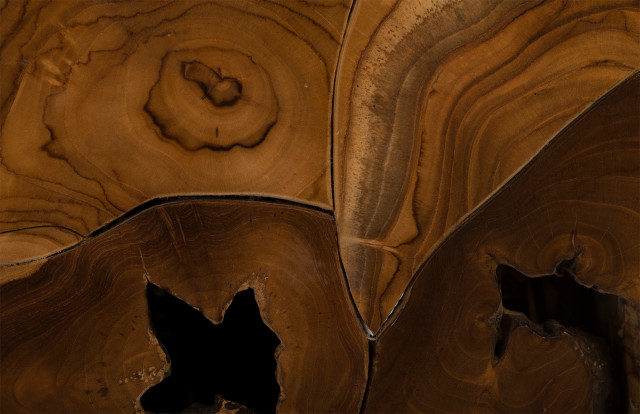 Teak Slice Side Table - Rustic - Side Tables And End Tables - by Phillips Collection | Houzz