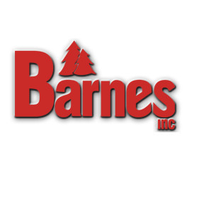 BARNES, INC - Project Photos & Reviews - Madison, WI US | Houzz