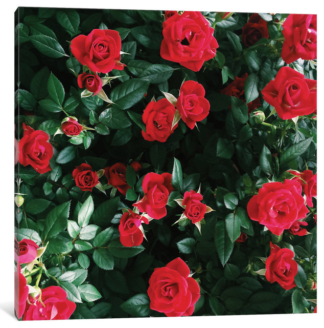 "The Bel Air Rose Garden" by Chelsea Victoria, 12x12x.75, 12x12x1.5 ...