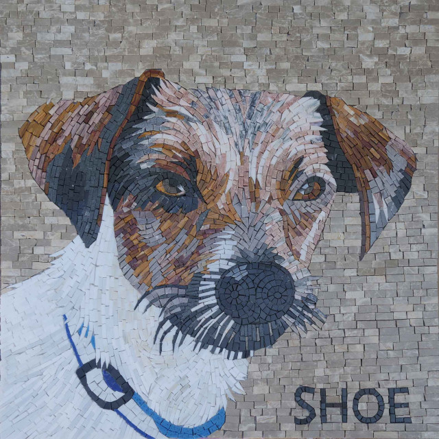 Jack Russell Dog Mosaic Mural, 40" x 40" - Contemporary - Tile Murals ...