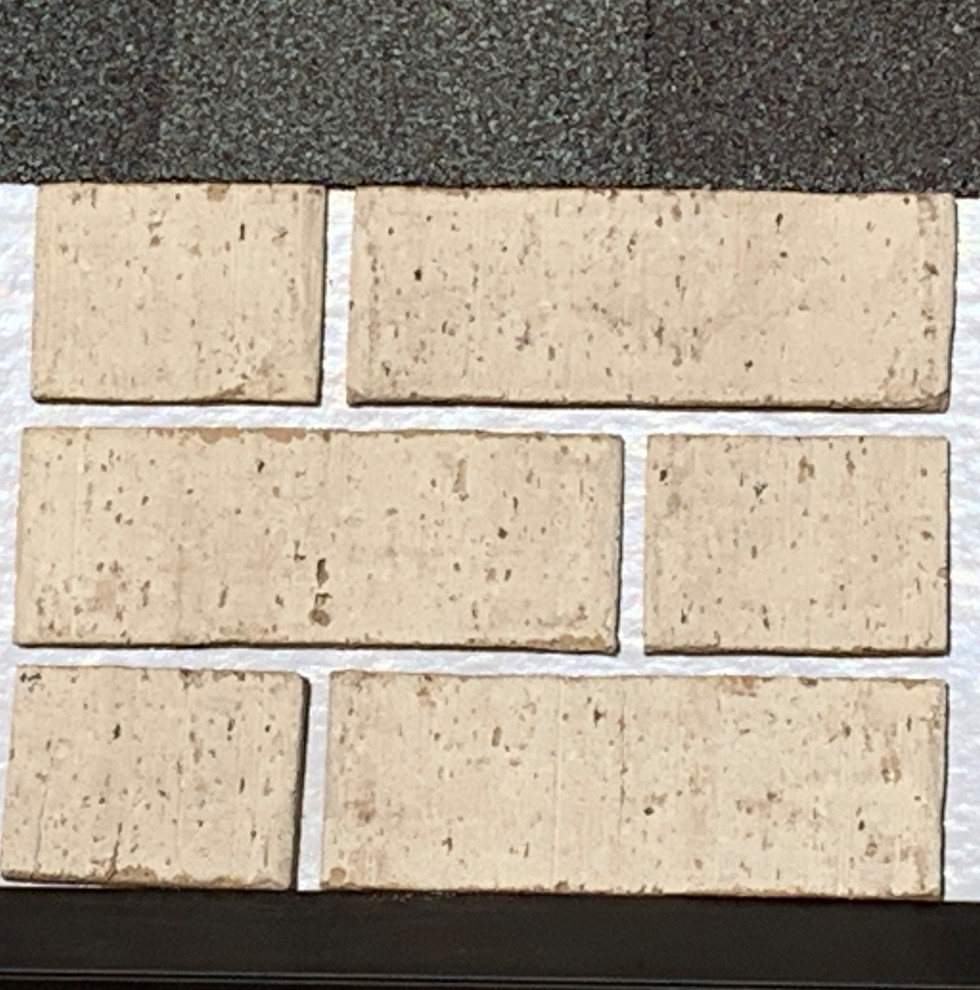 What color fascia and frieze trim colors would look good?