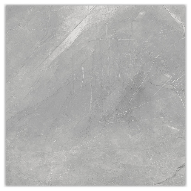 Premium Pulpis Gray Glossy 24x24 Porcelain Tile - Modern - Wall And ...
