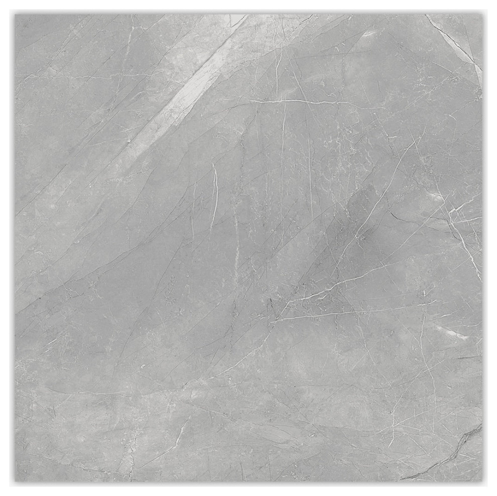 Premium Pulpis Gray Glossy 24x24 Porcelain Tile - Modern - Wall And ...