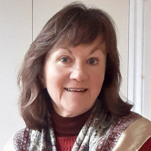 Susan Hampton's Instagram, Twitter & Facebook on IDCrawl