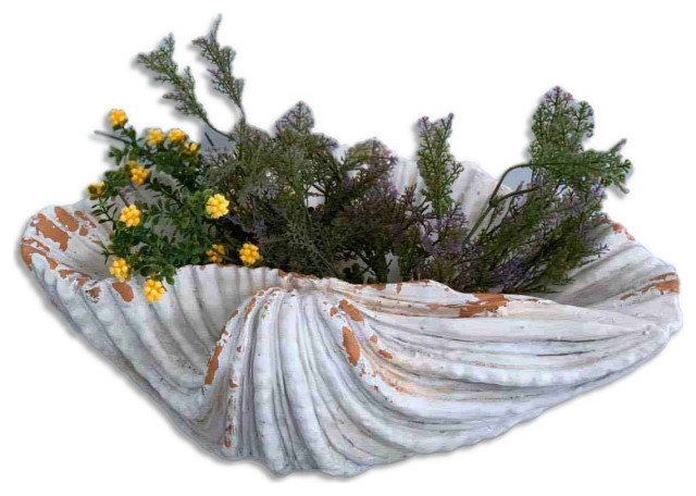 6" Distressed Cream and Terra Cotta Scallop Shell Planter - Beach Style ...