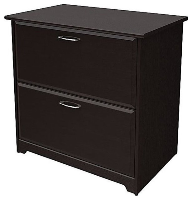 Bowery Hill 2 Drawers Contemporary Wood Lateral File Cabinet in ...