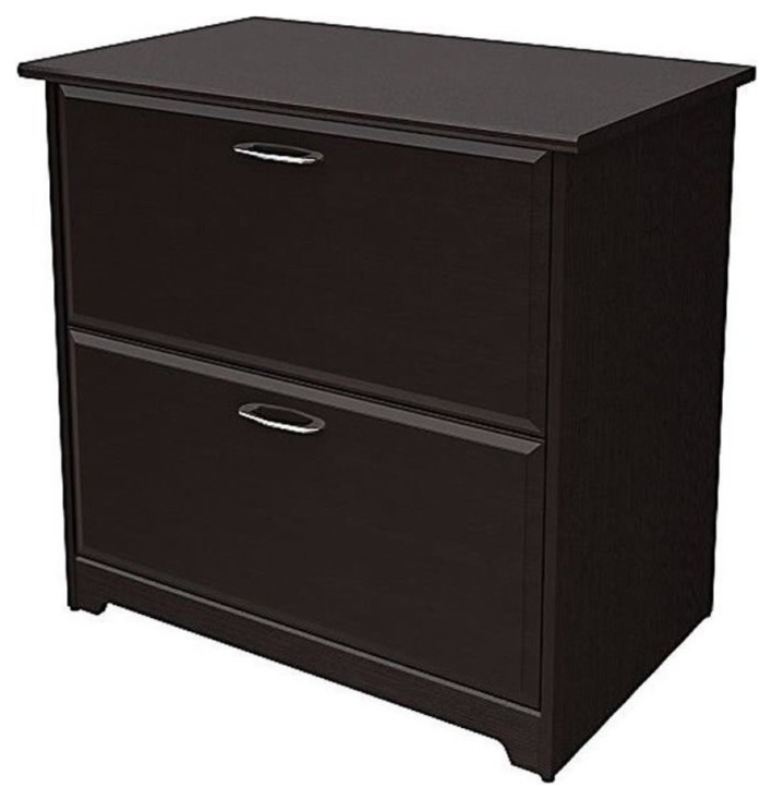 Bowery Hill 2 Drawers Contemporary Wood Lateral File Cabinet in ...
