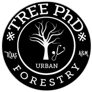 TREE PHD URBAN FORESTRY ARBORIST AND TREE SERVICE - Project Photos ...