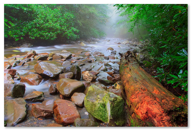 Bob Rouse 'River Log' Canvas Art, 30"x47" - Rustic - Prints And Posters ...