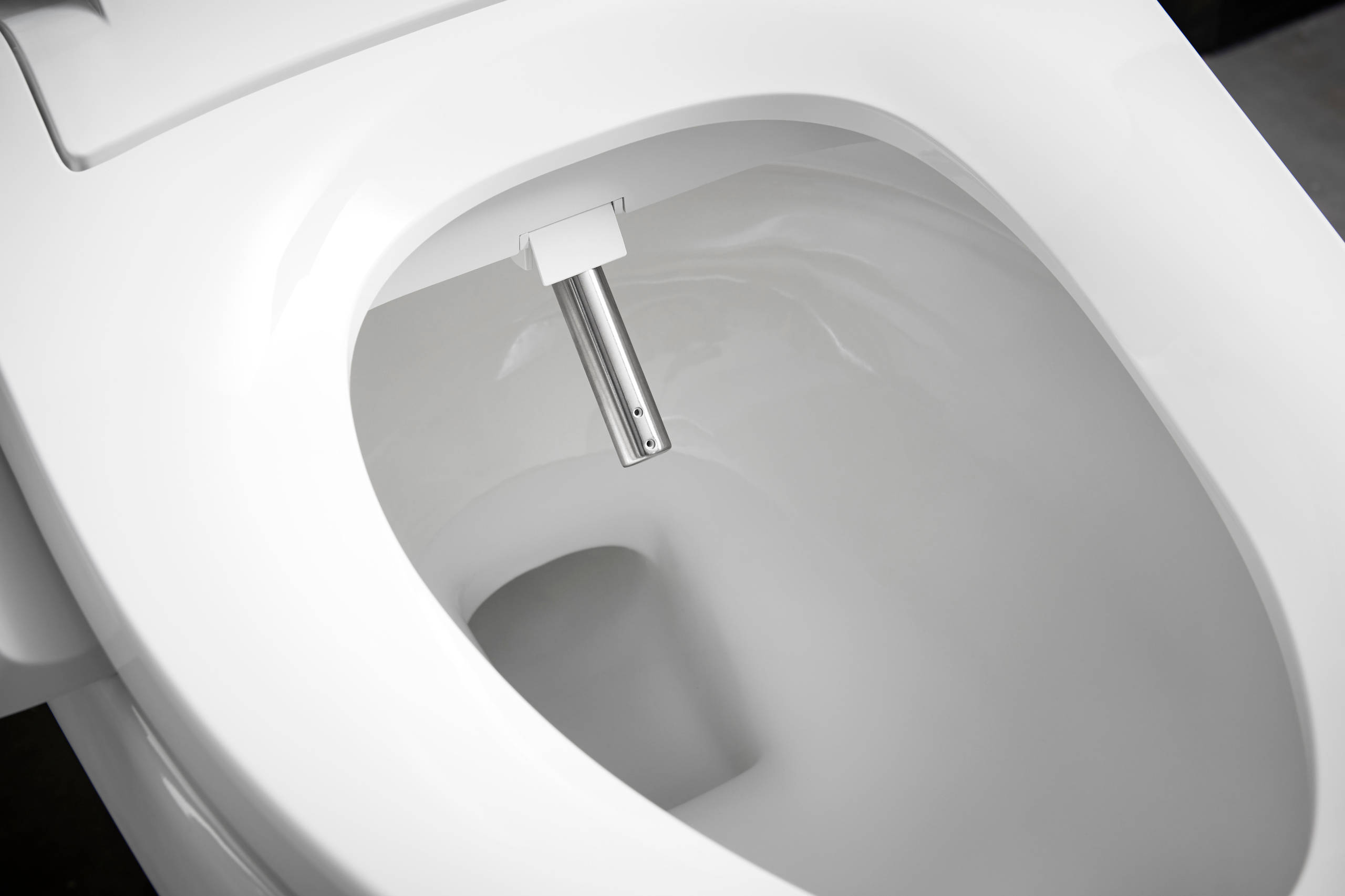 Straight Flush: The Future of Toilets in the Home