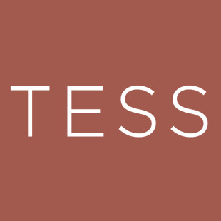 TESS TILE - Project Photos & Reviews - Minneapolis, MN US | Houzz