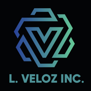 L. VELOZ INC. - Project Photos & Reviews - Nashua, NH US | Houzz