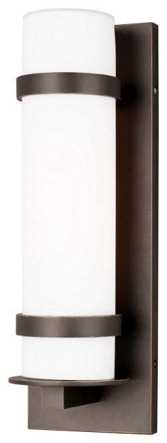 Alban One Light Outdoor Wall Lantern in Antique Bronze - Transitional ...