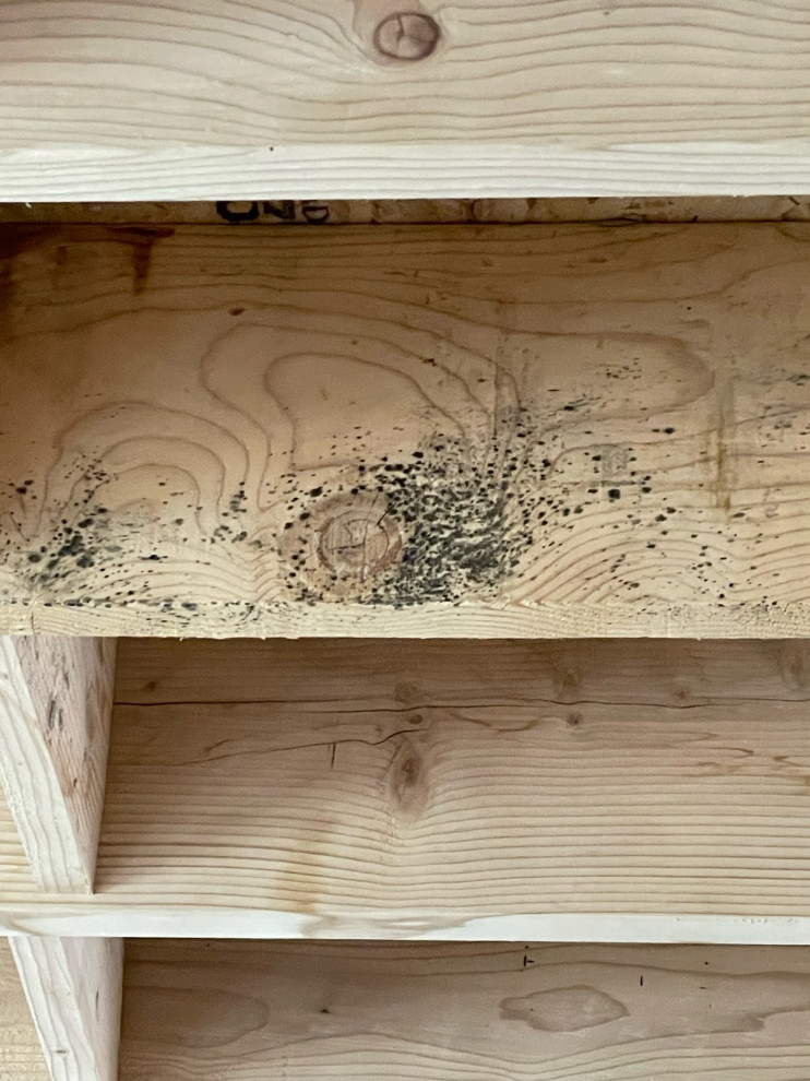 mold found on framing of new construction home