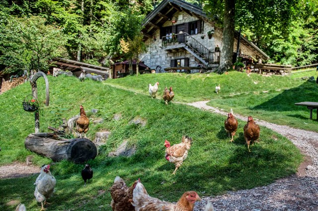 My Houzz: A Family’s Rustic Refuge for Travelers in the Italian Alps