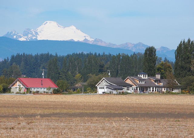 Houzz Tour: A Washington Farmstead Celebrates Its Site