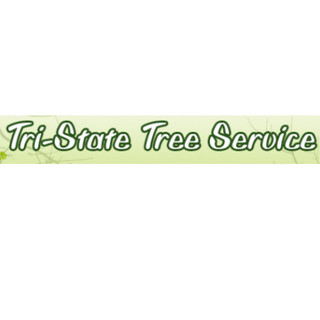 TRI-STATE TREE SERVICE - Project Photos & Reviews - Temple Hills, MD US ...