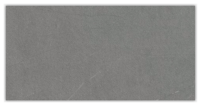 Archivio Plata Matte 24x48 Porcelain Tile, 24x48 - Contemporary - Wall ...
