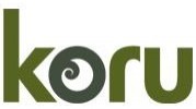 KORU LTD - Project Photos & Reviews - Carbondale, CO US | Houzz