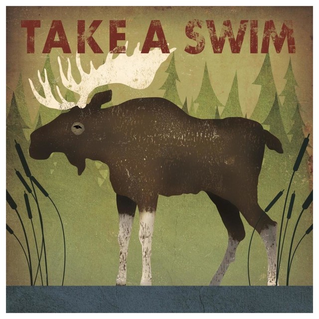 "Take a Swim Moose" Digital Paper Print by Ryan Fowler, 20"x20", 38"x38 ...